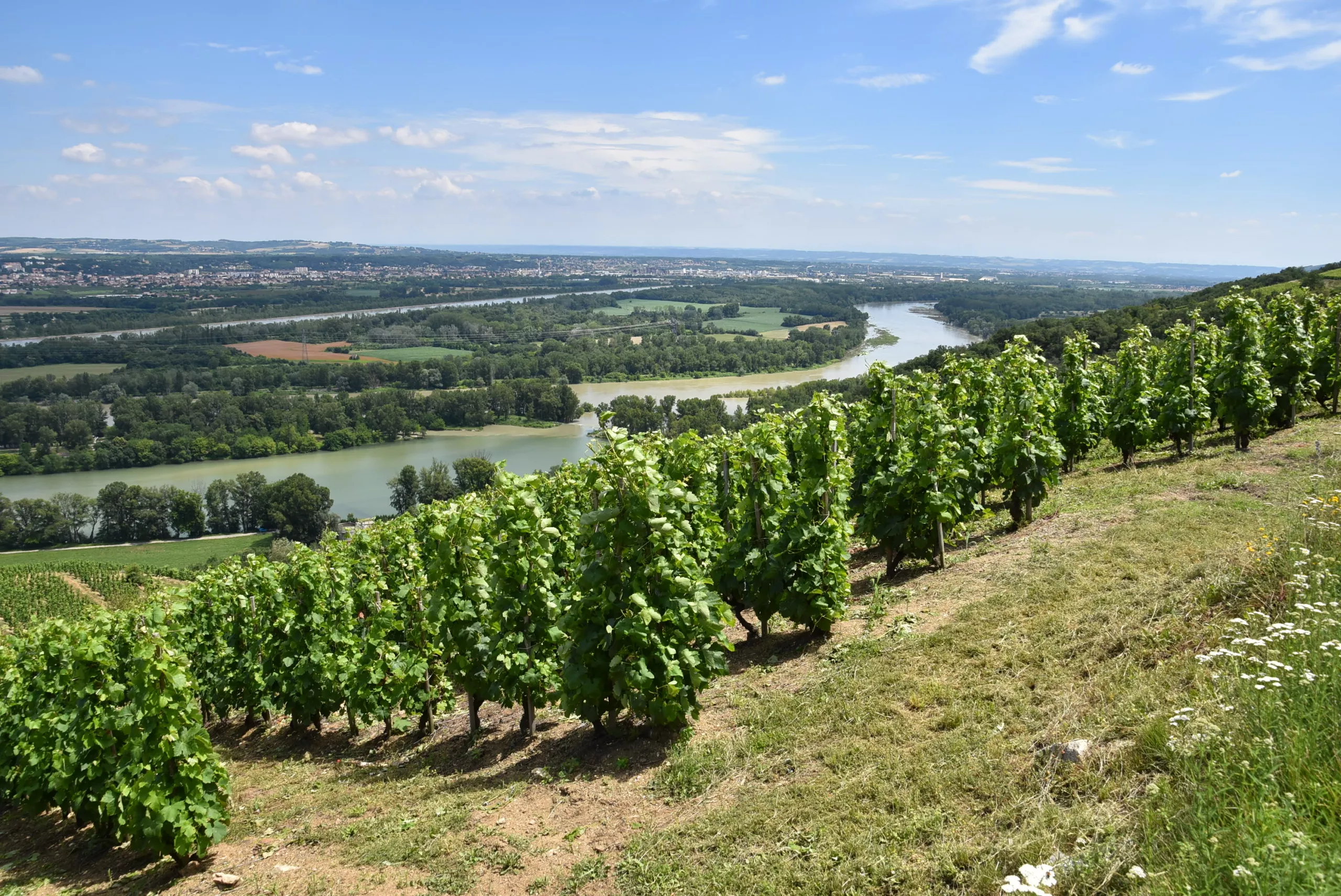 Le Pilat, mooi natuurgebied onder Lyon